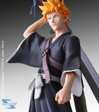 Bleach - Vinyl Statues